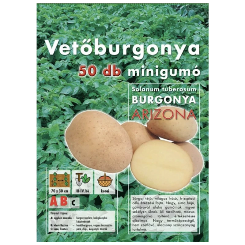 Samanta cartofi albi ARIZONA, Timpuriu, 50 bucati @ AGRICULTURA IEFTINA